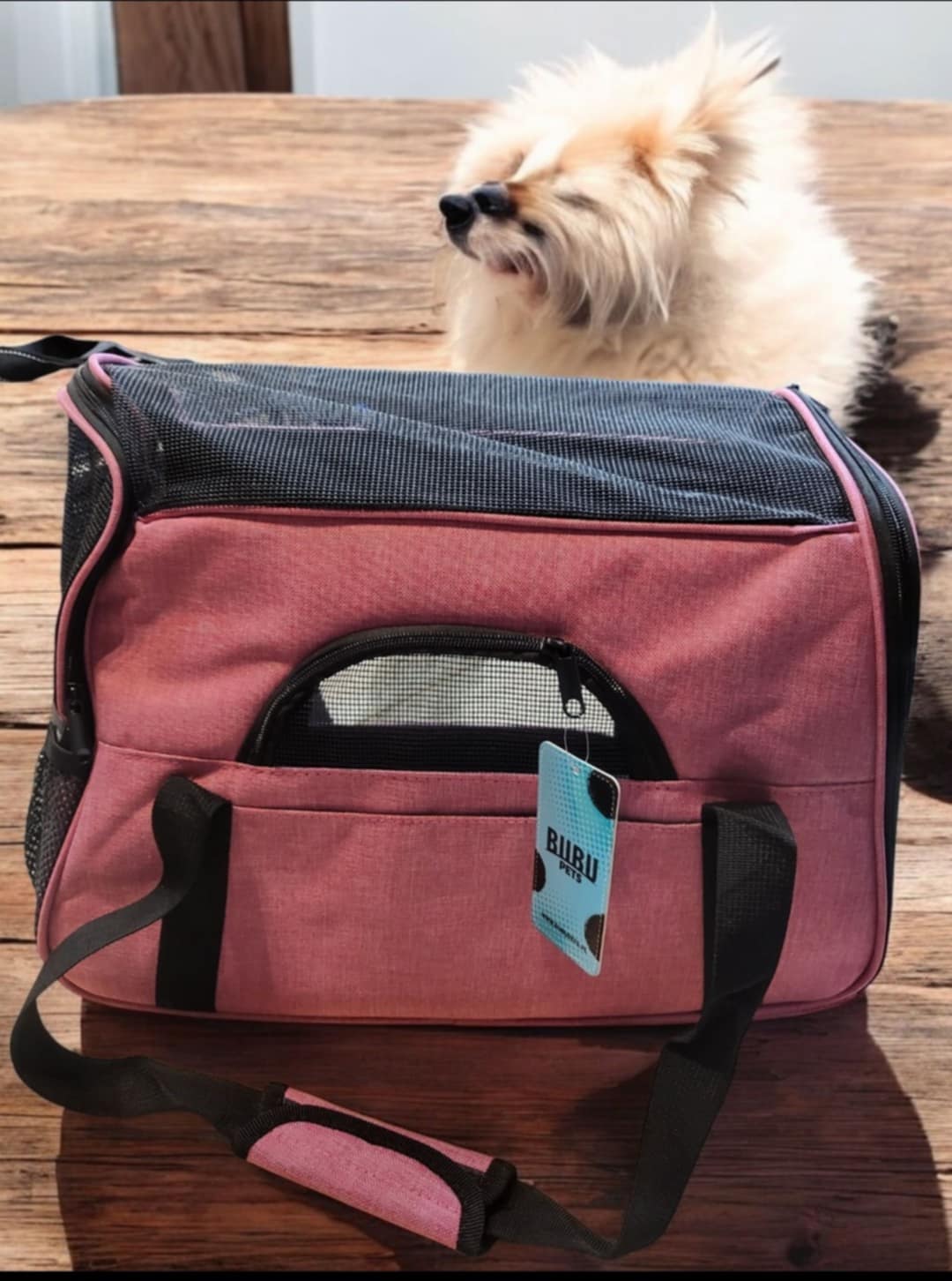 Dog/Cat BuBu Carrier holds 8kg – Petlove.com.mt