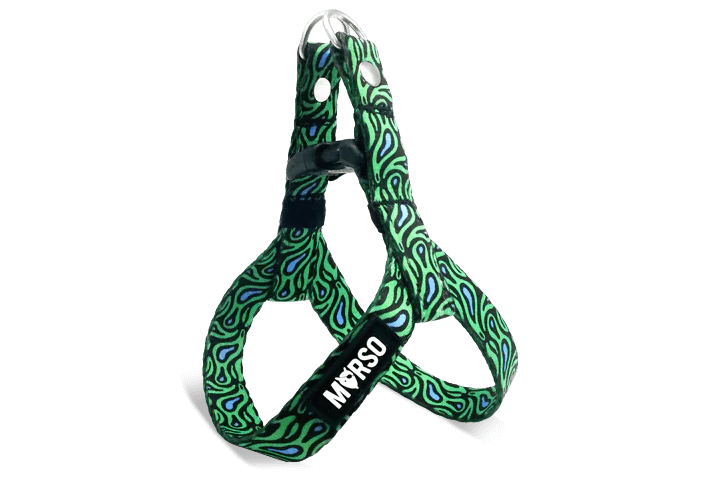 MORSO LABYRINTH HARNESS MINI -XL – Petlove.com.mt