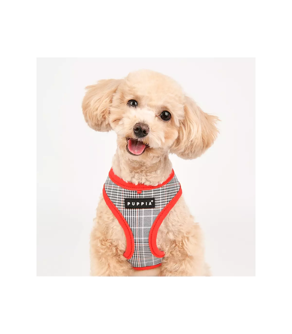 PUPPIA BLAKE HARNESS – Petlove.com.mt