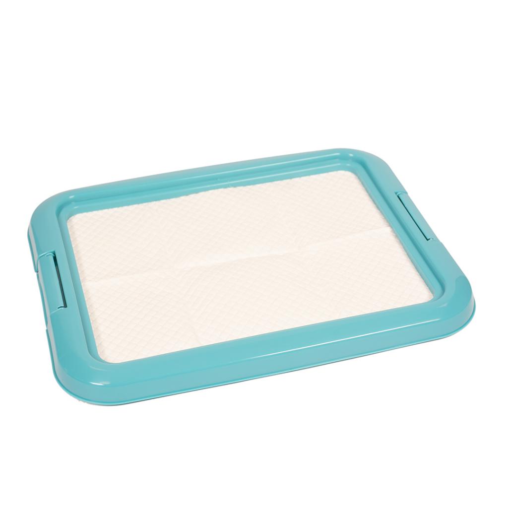 DUVO + Dog PET TOILET XL 60X60CM + 7PADS – Petlove.com.mt